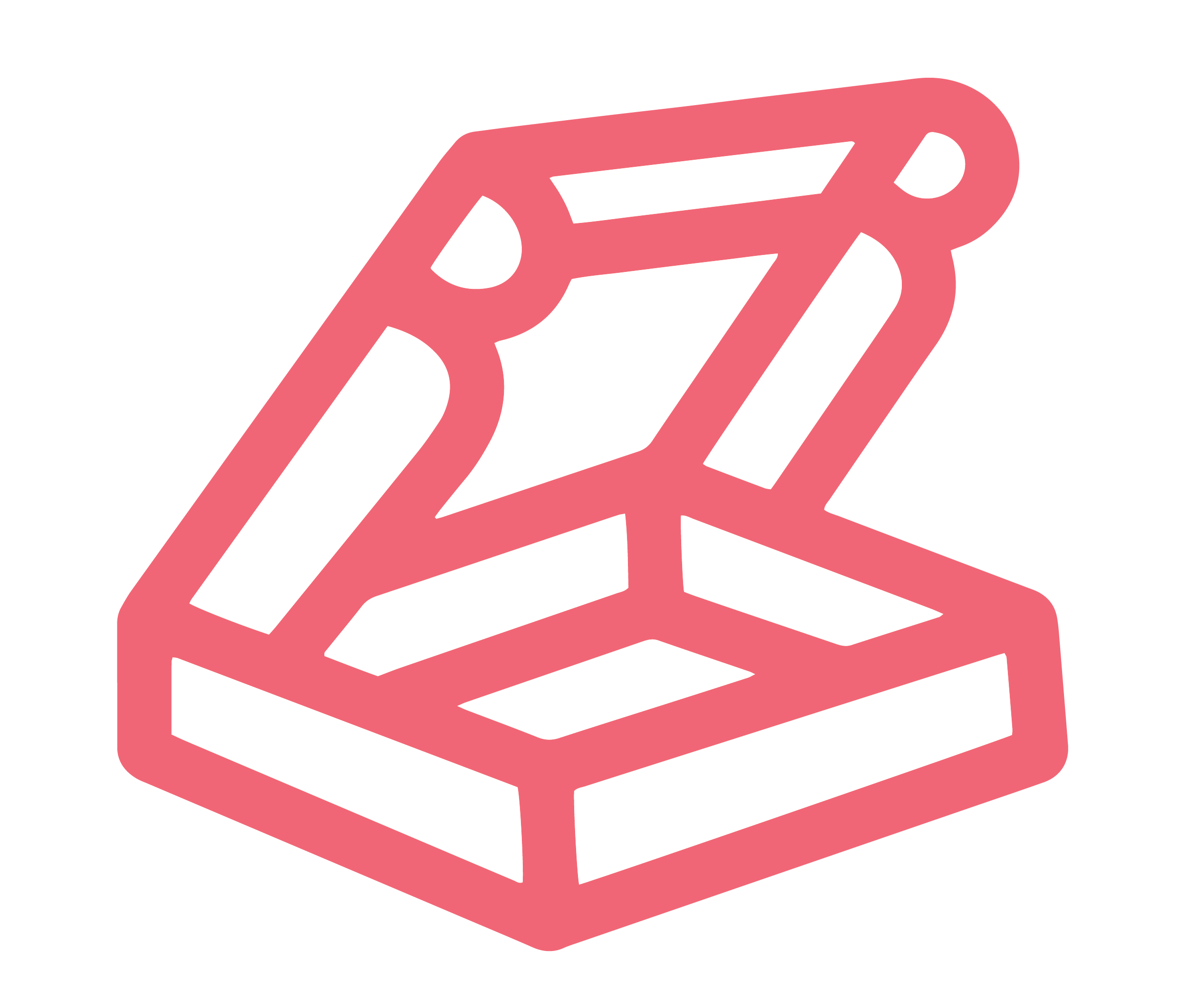 Become a PPP Member – Pink Palm Puff