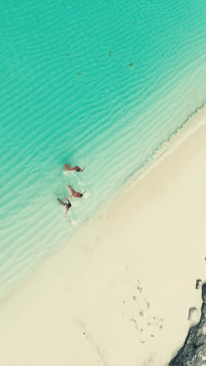 About Us – Pink Palm Puff